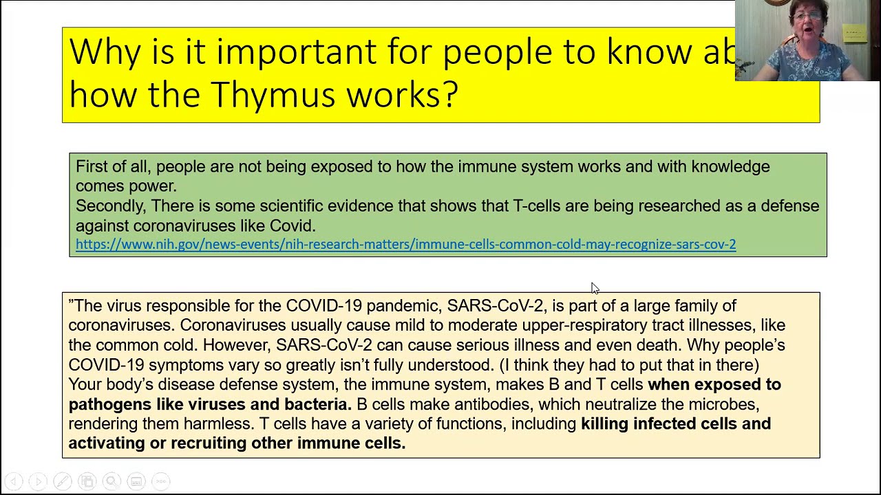 The Healthy Thymus And The Immune System Vitamin Rush the-healthy-thymus-and-the-immune-system-vitamin-rush