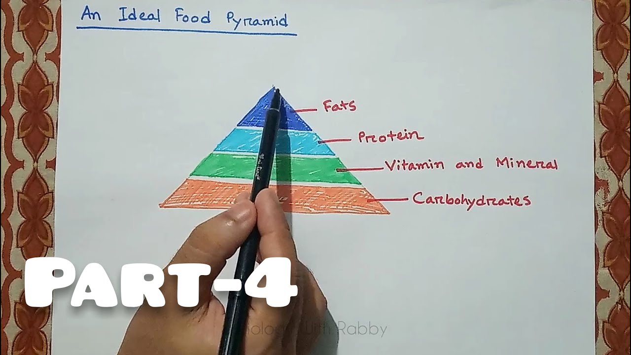 SSC Biology | Food ,Nutrition & Digestion | Part-4 |Food pyramid,Vit ...