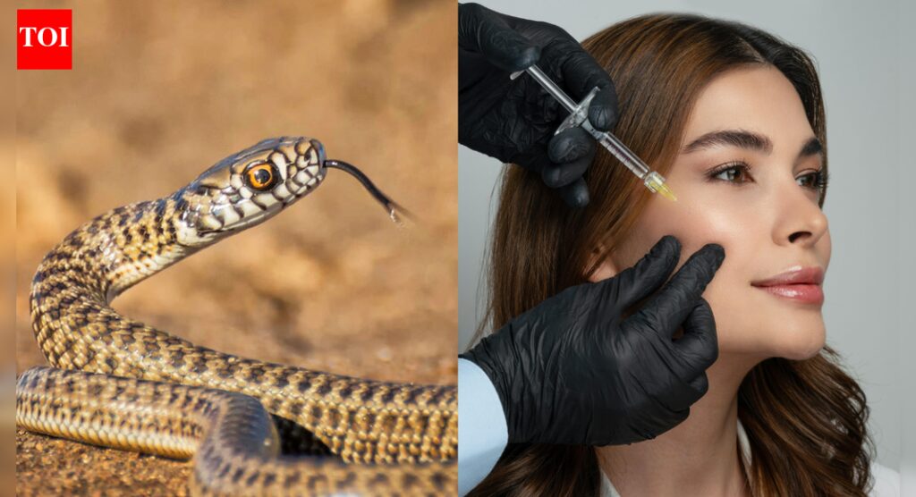 Beauty clinics to emergency rooms: Botox could help treat snakebites ...