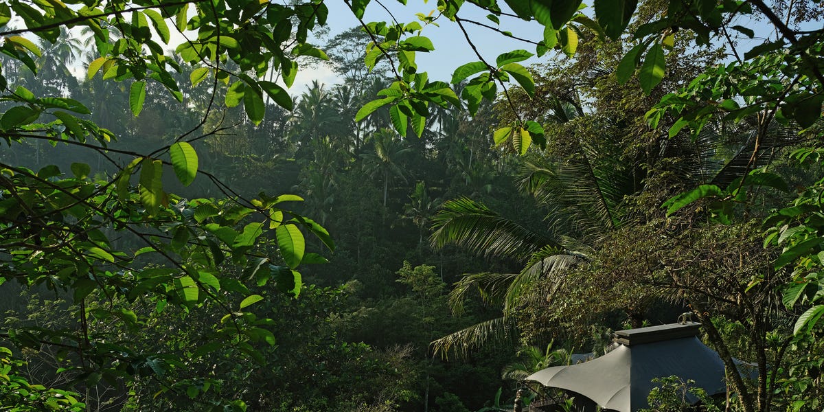 9 wellness travel trends to try in 2026 - Vitamin Rush